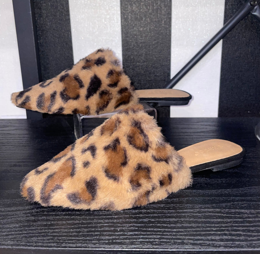 Shoes – The Snooki Shop